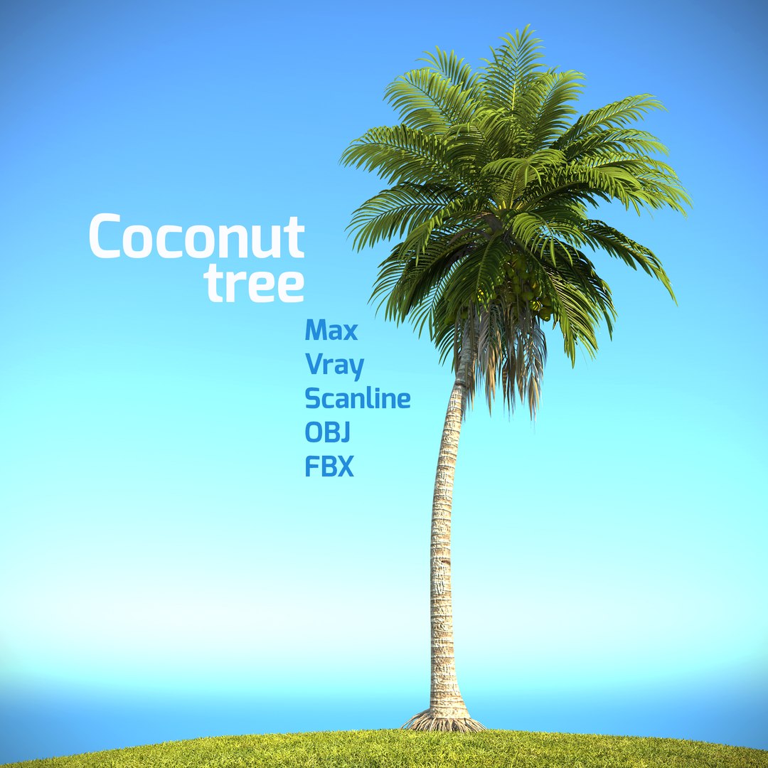 Realistic Coconut Palm Tree 3d Max