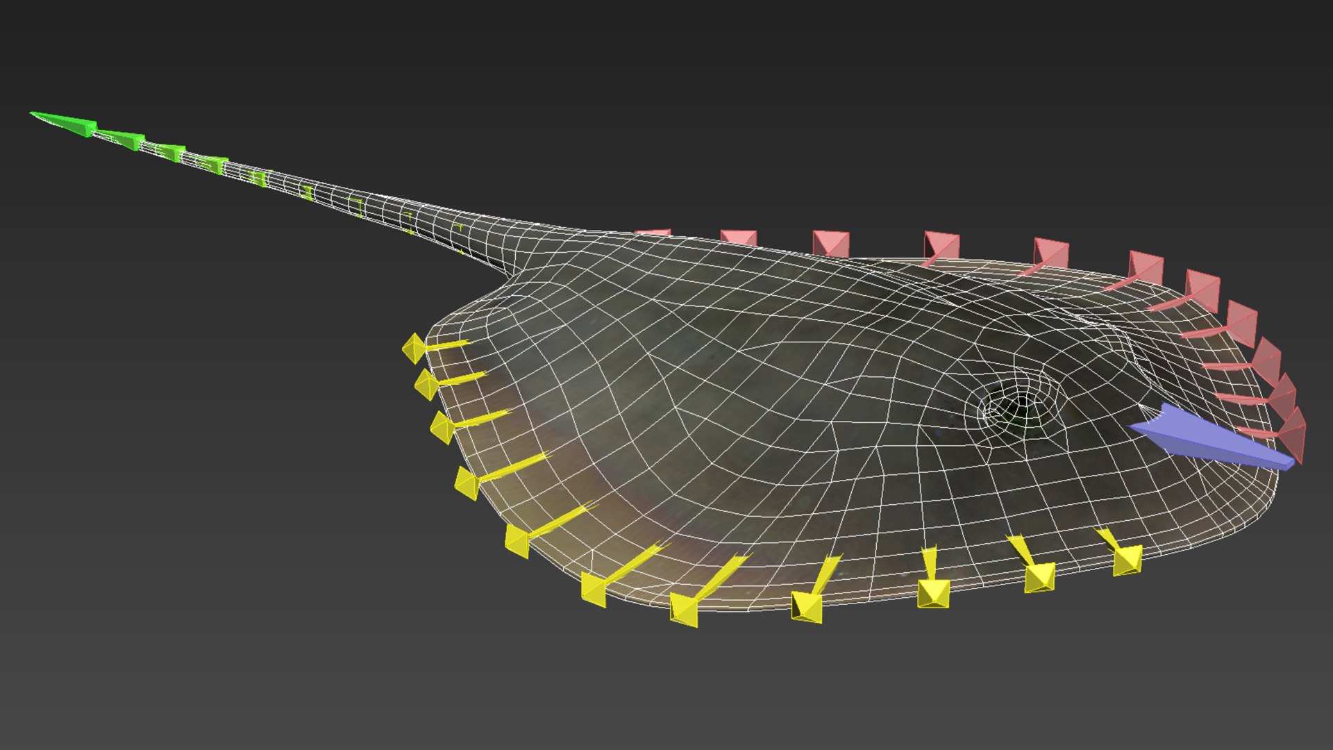 Stingray Swimming Animation 3D Model - TurboSquid 1404917