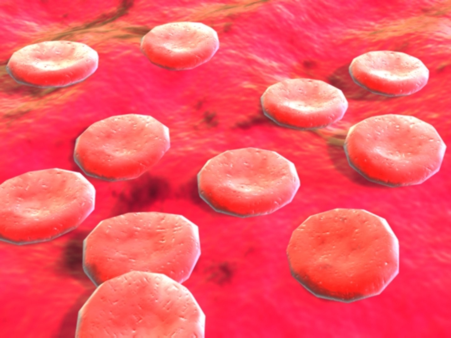 Free Red Blood Cells 3d Model