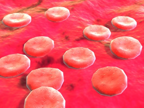 Free 3D Blood Models | TurboSquid