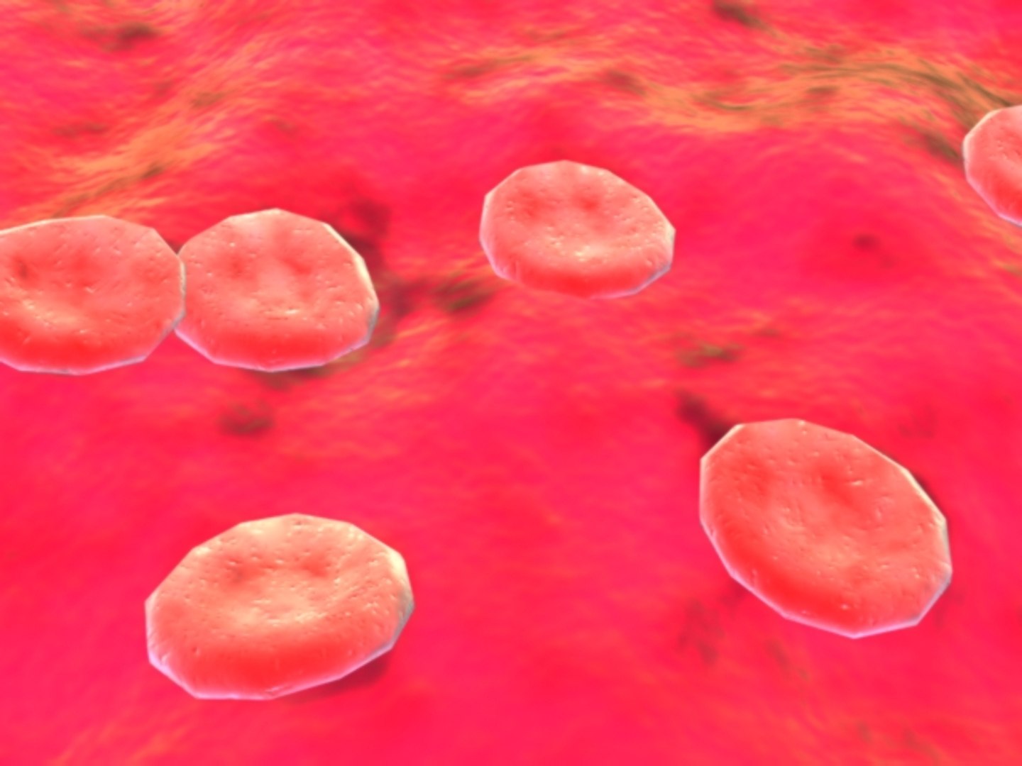 Free Red Blood Cells 3d Model