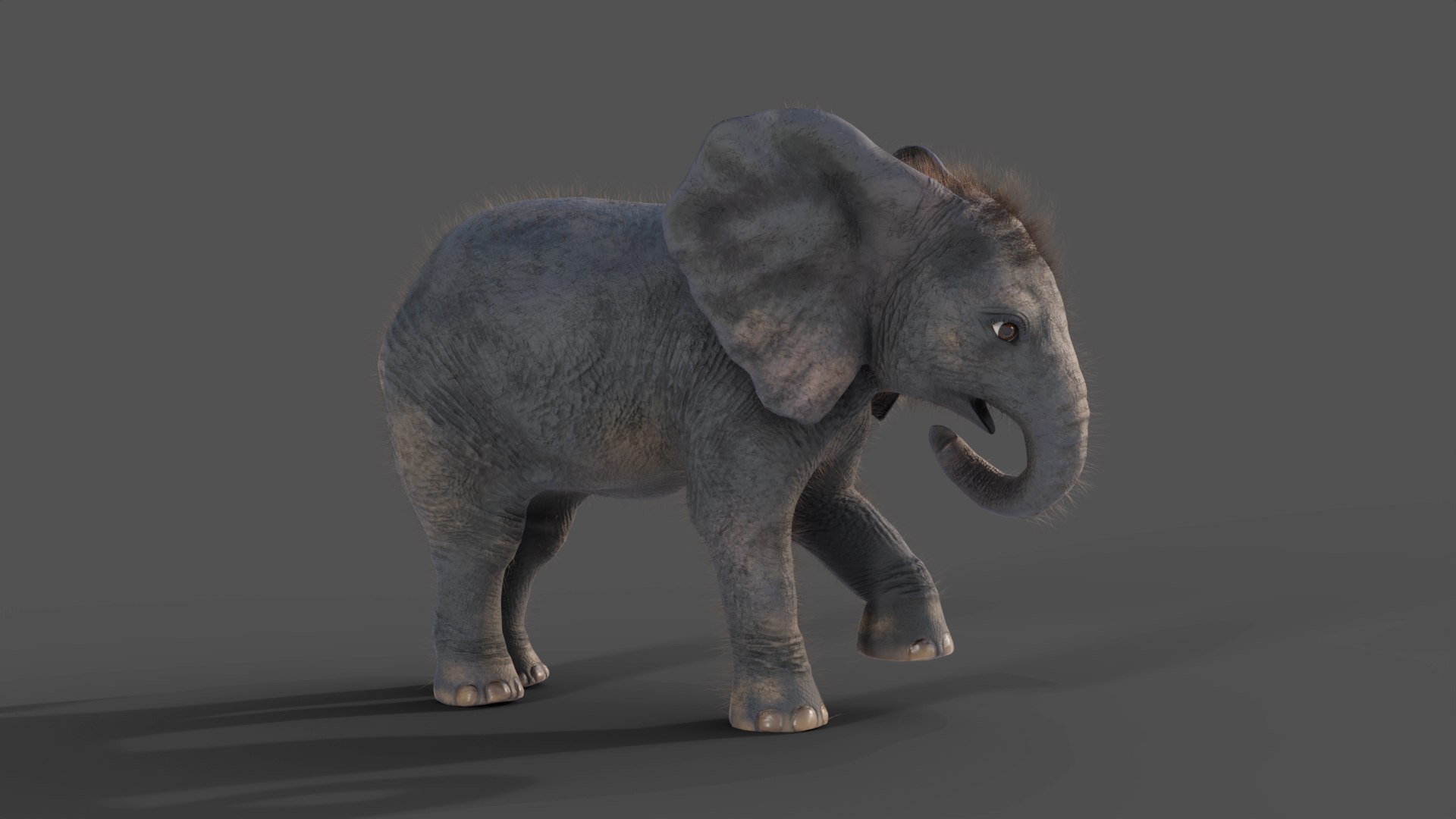 Fur Baby Elephant Rigged in Blender 3D model - TurboSquid 1949937