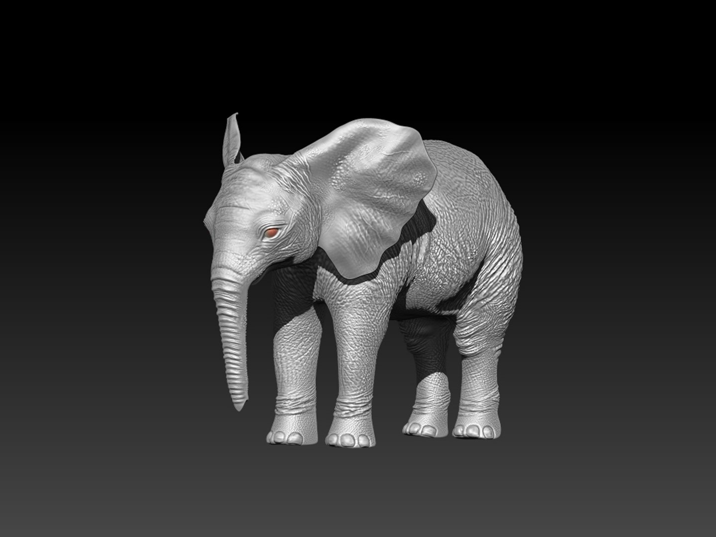 Fur Baby Elephant Rigged in Blender 3D model - TurboSquid 1949937