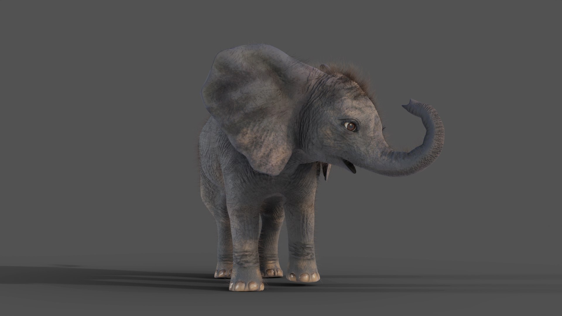 Fur Baby Elephant Rigged in Blender 3D model - TurboSquid 1949937