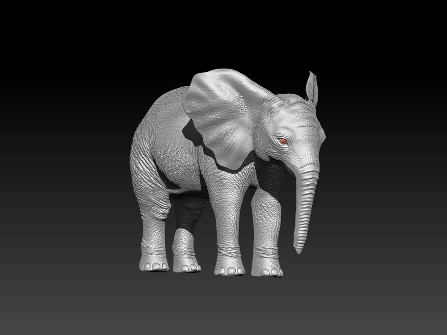 Fur Baby Elephant Rigged in Blender 3D model - TurboSquid 1949937