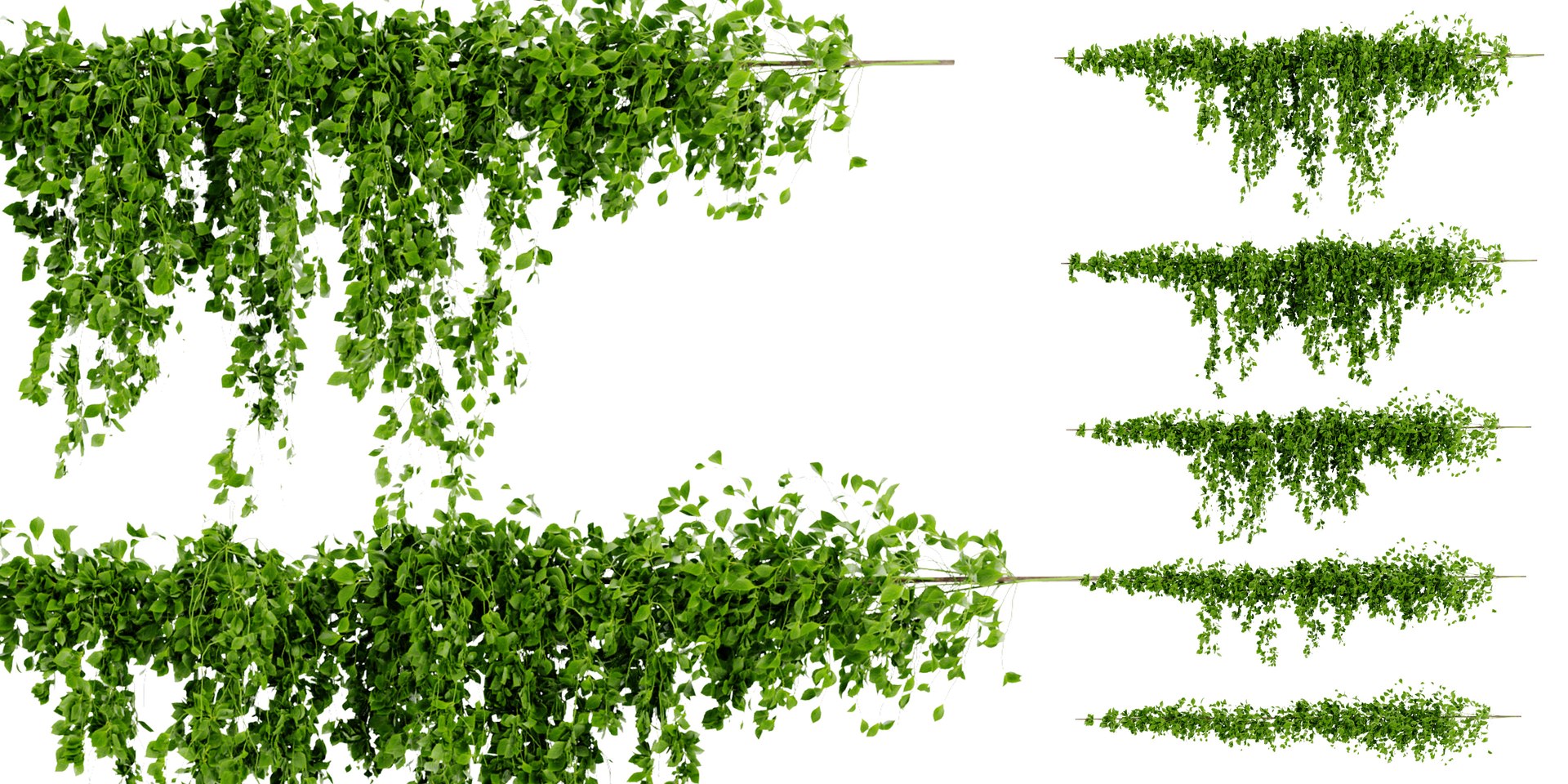 3D Collection Plant Vol 435 - Blender Model Model - TurboSquid 2097140