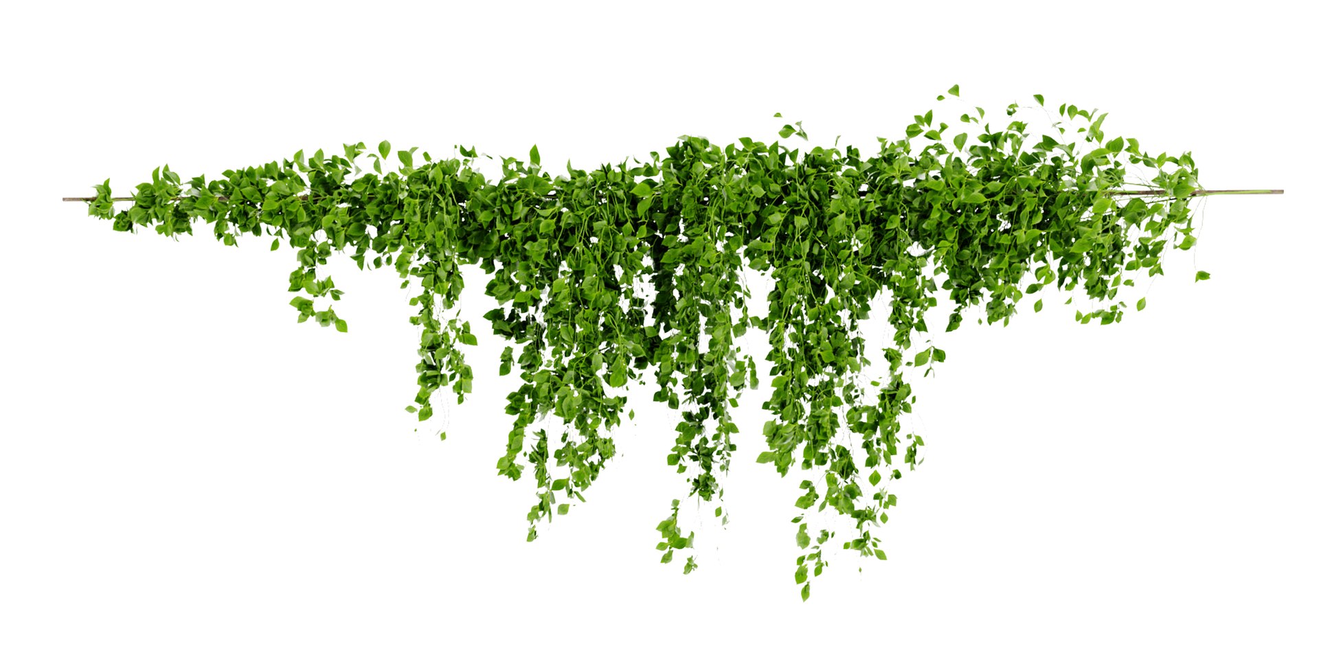 3D Collection Plant Vol 435 - Blender Model Model - TurboSquid 2097140