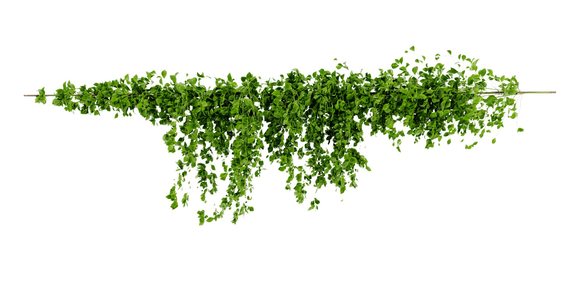 3D Collection Plant Vol 435 - Blender Model Model - TurboSquid 2097140