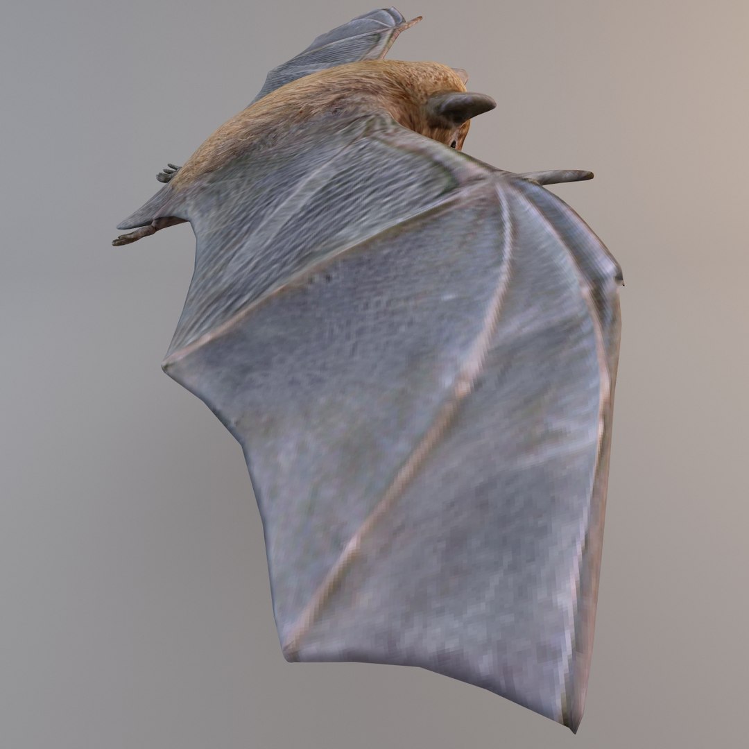 3ds max brown bat