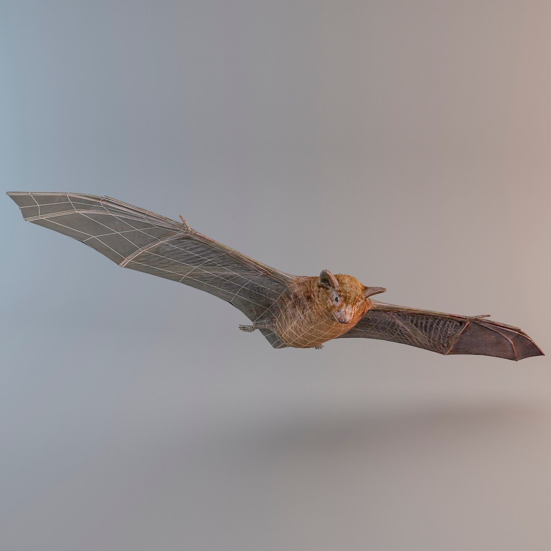 3ds max brown bat