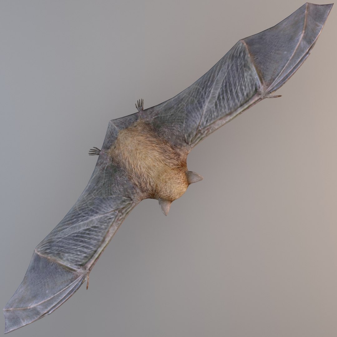 3ds max brown bat