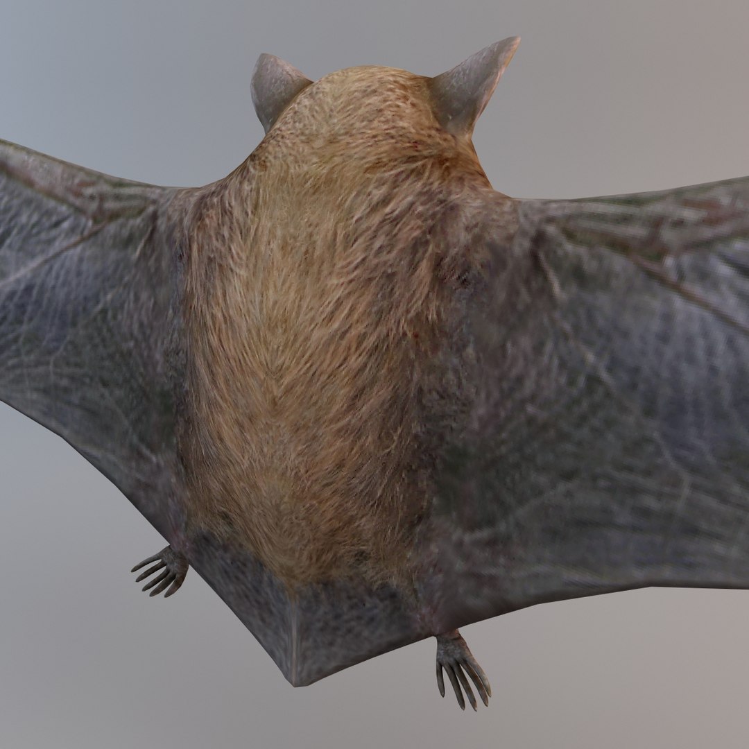 3ds max brown bat