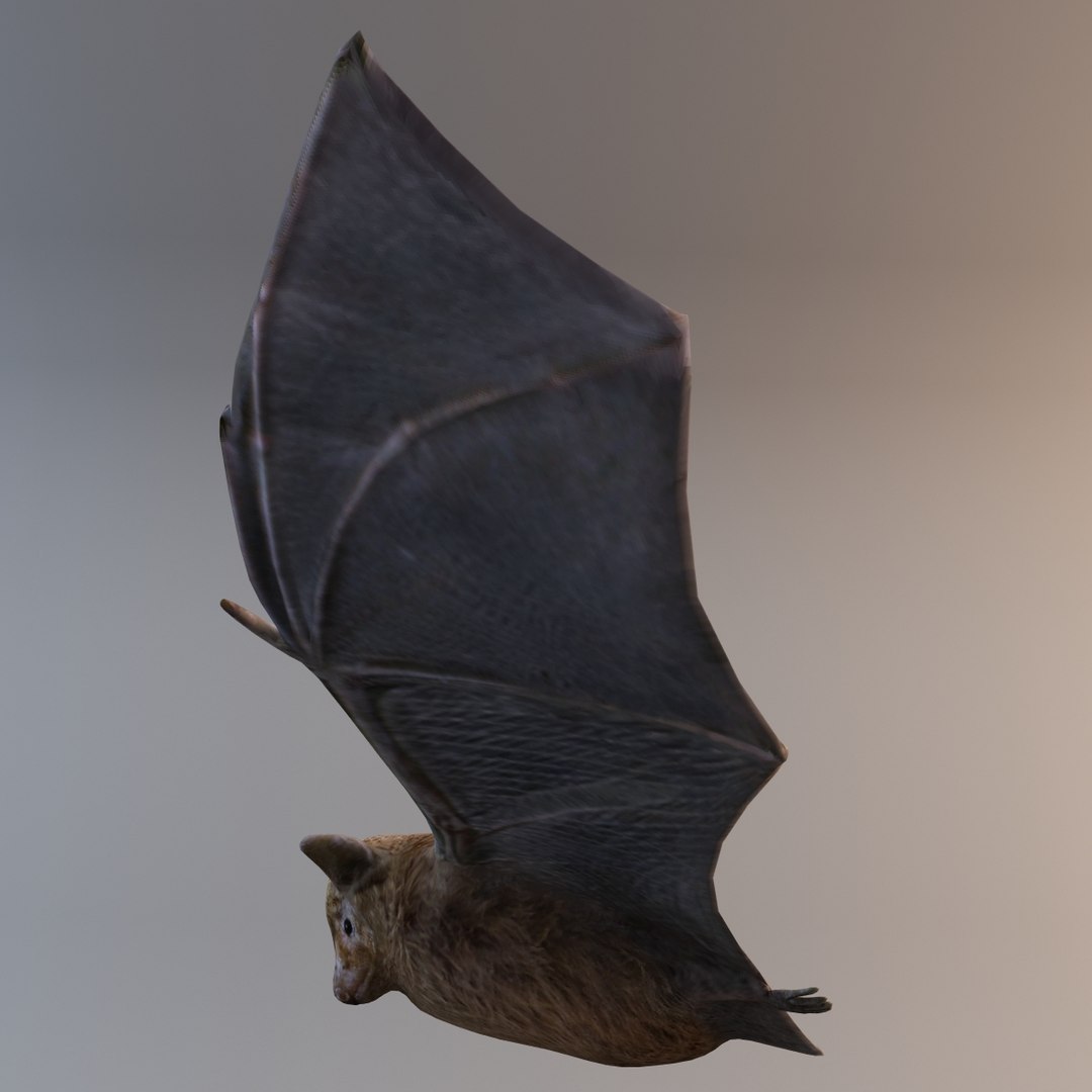 3ds max brown bat