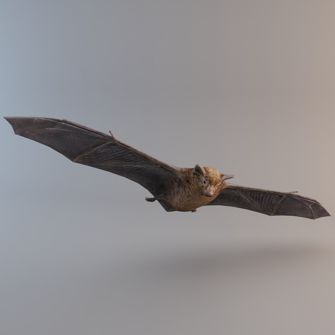 3ds max brown bat