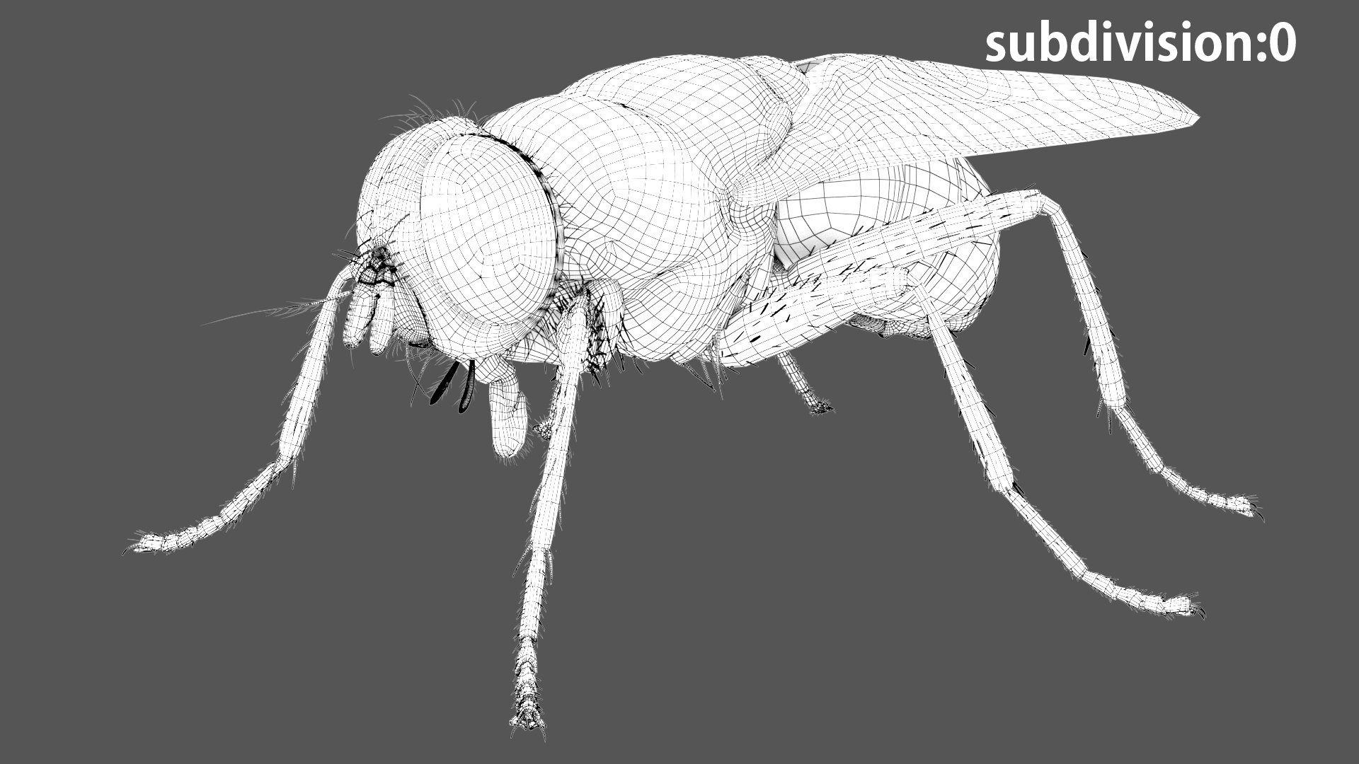 3D fly bug - TurboSquid 1539321