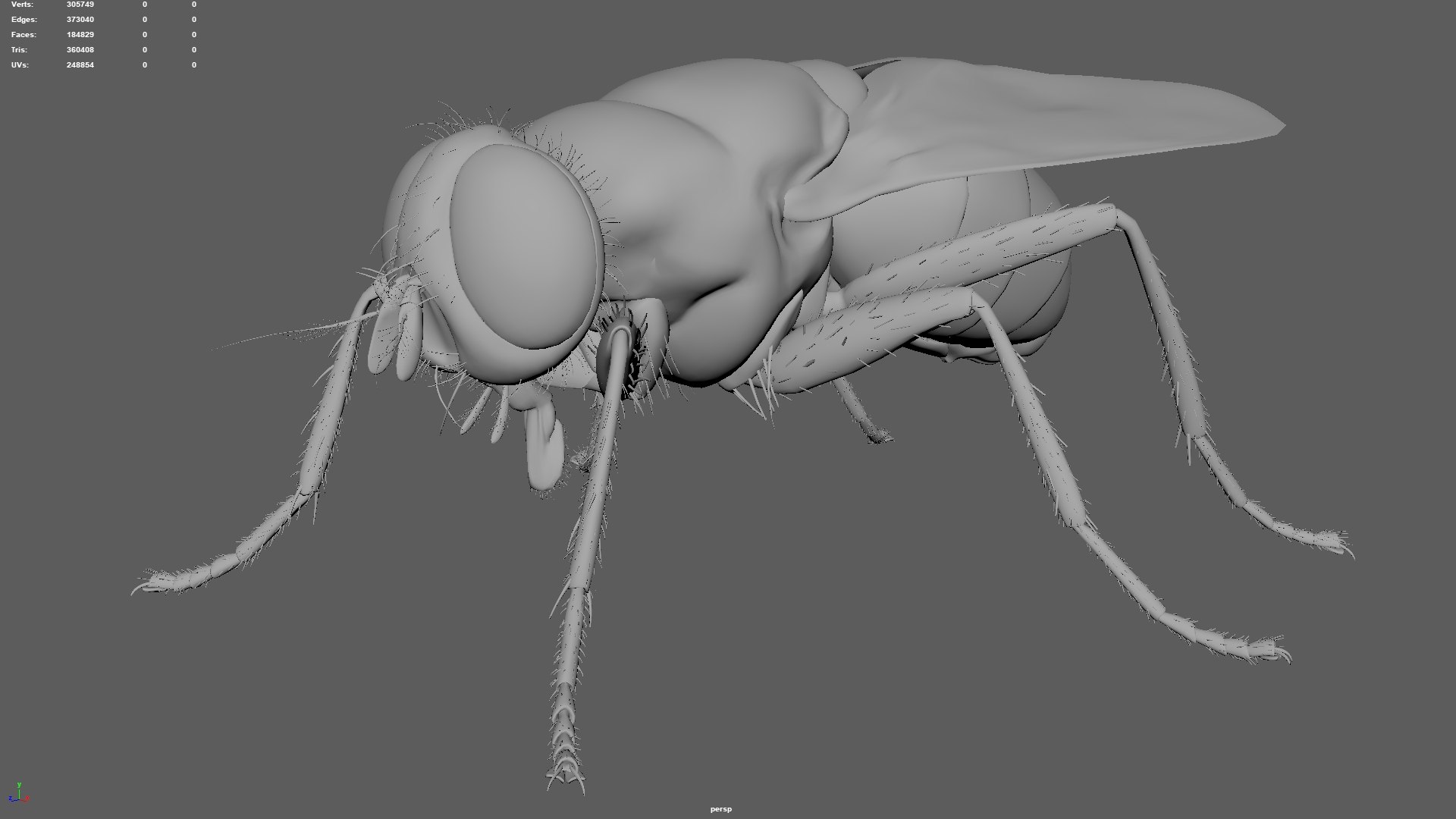 3D fly bug - TurboSquid 1539321