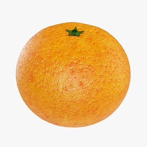 Tangerine 3D Models for Download | TurboSquid