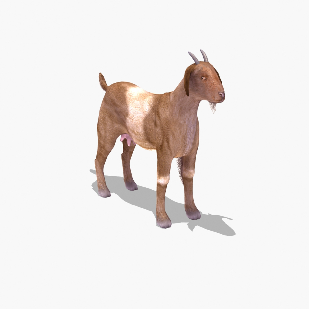 Farmyard Goat 3ds