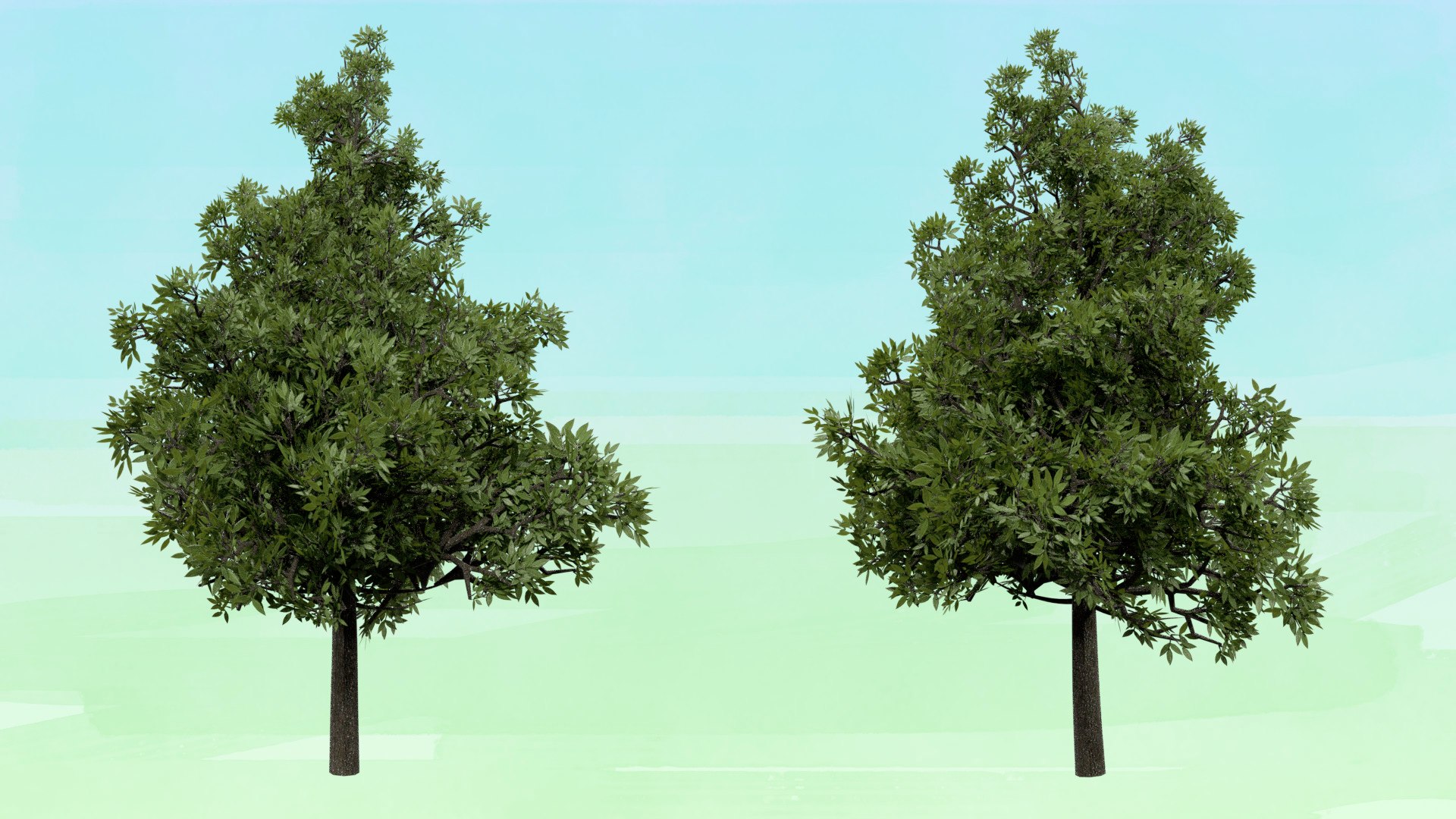 Realistic Tree Pack 3D Model - TurboSquid 1285340