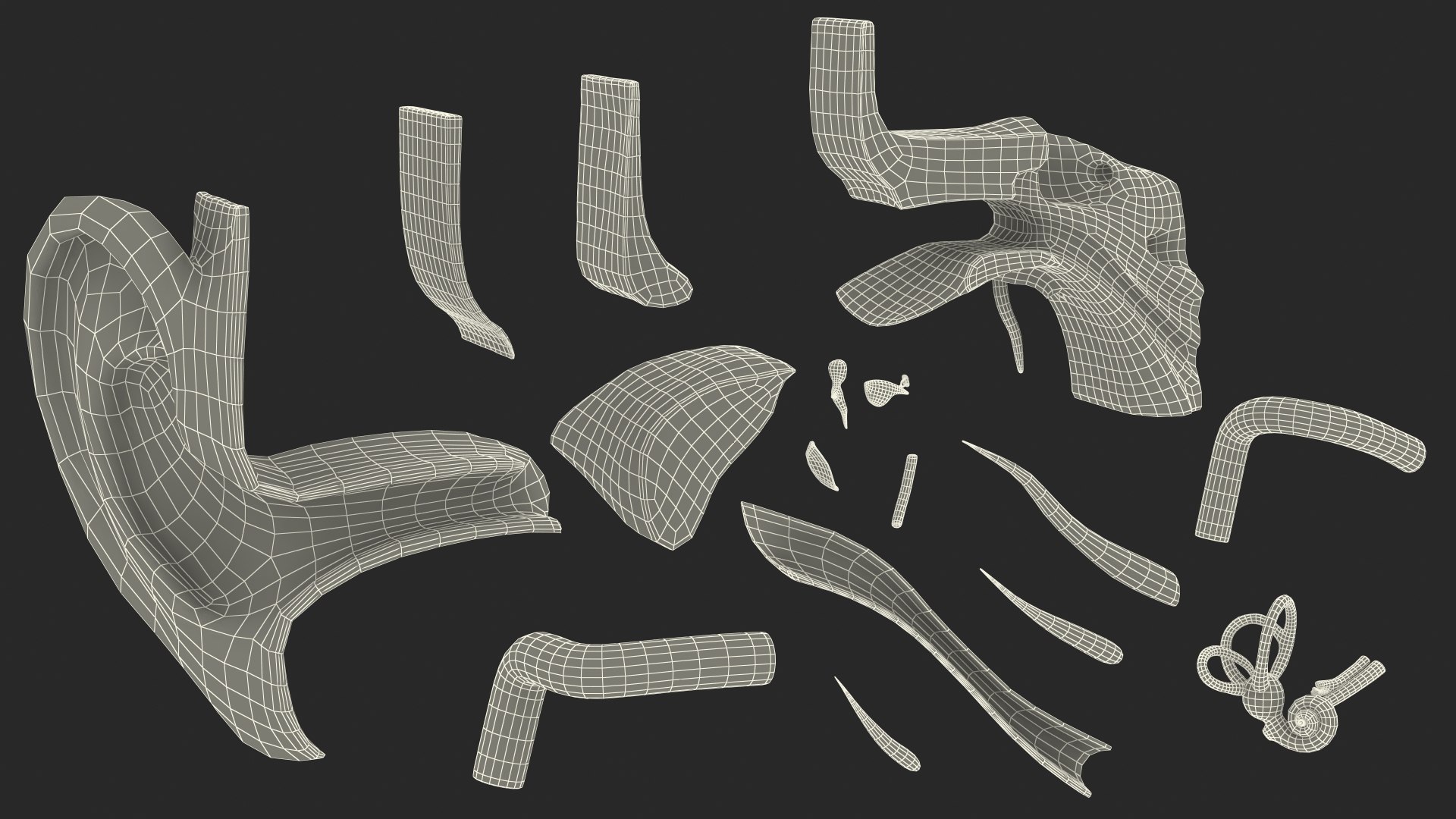 3D model human ear anatomy structure - TurboSquid 1645933