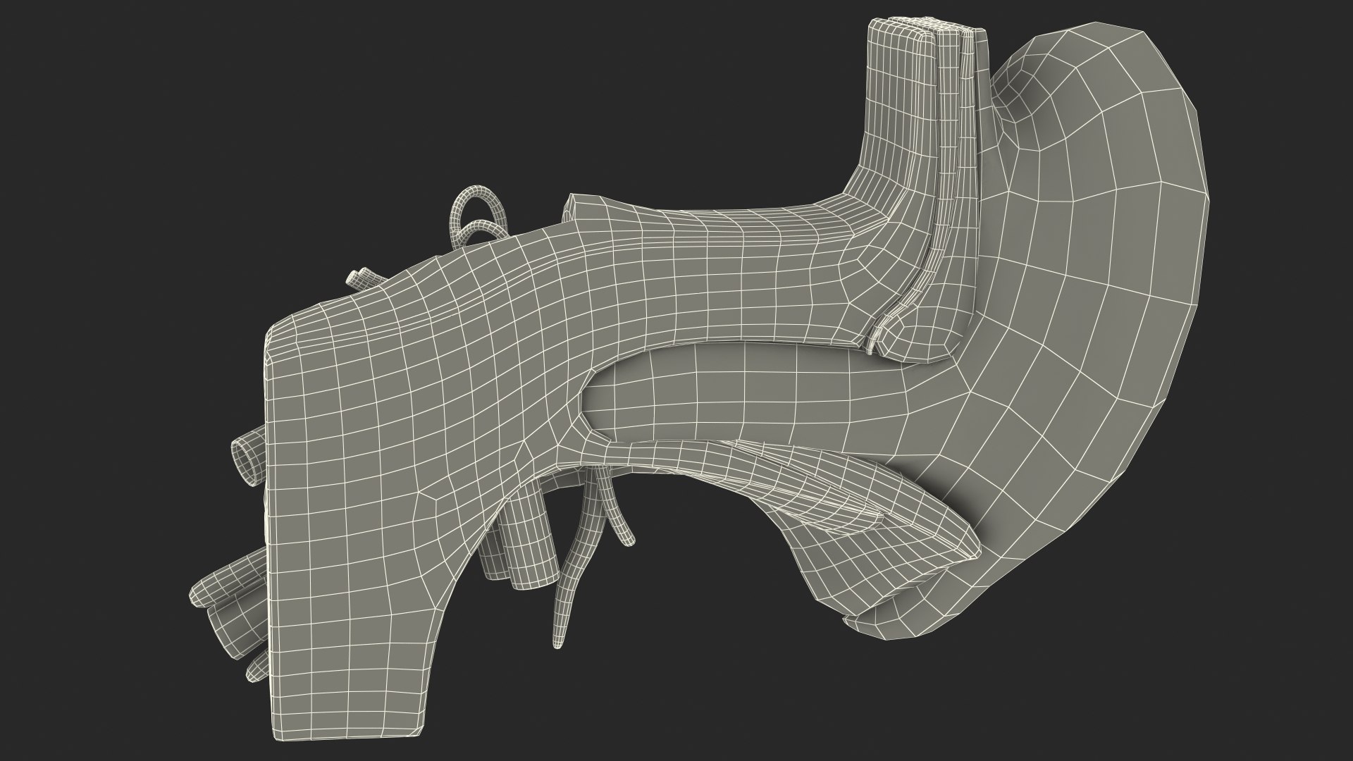3D model human ear anatomy structure - TurboSquid 1645933