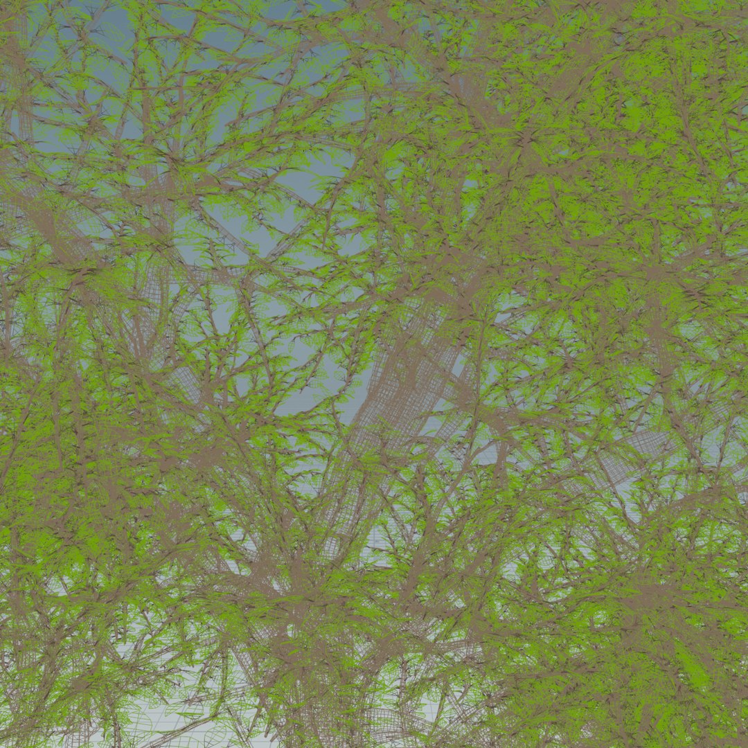 Hi-Res Tree 3D model - TurboSquid 2078764