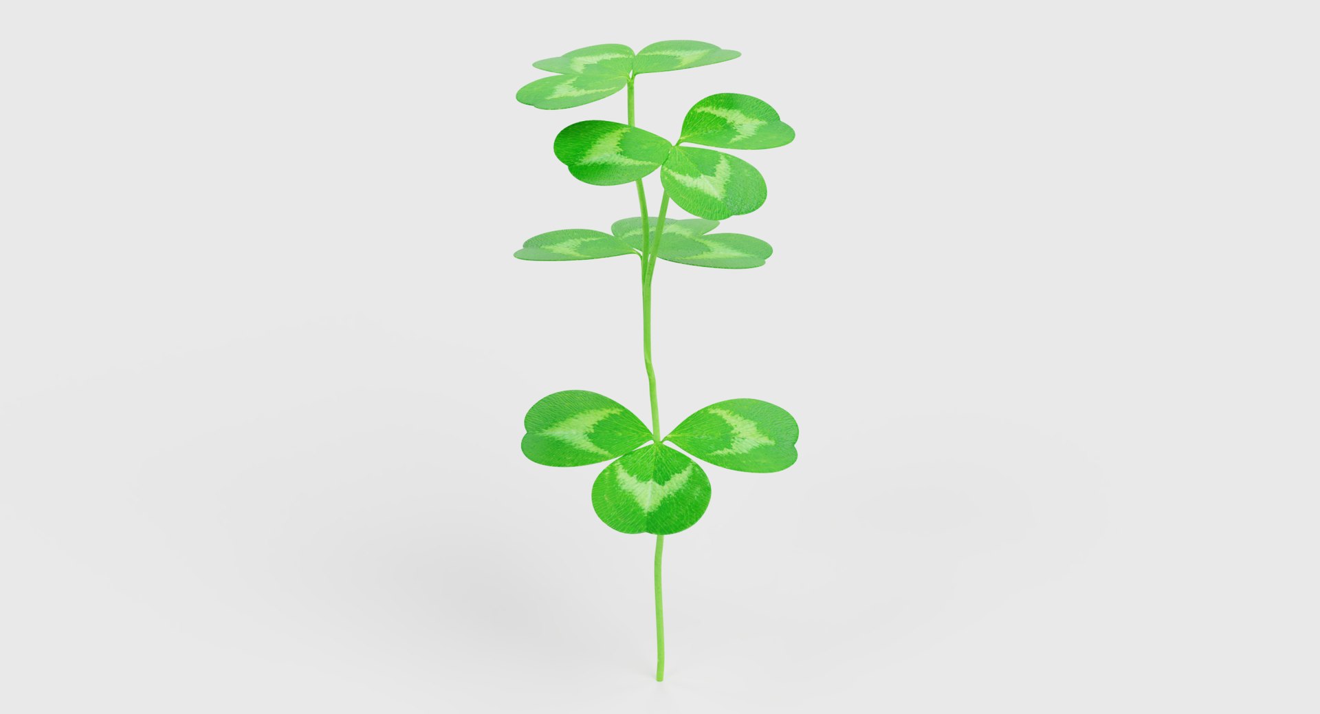 3D model clover plant pbr - TurboSquid 1300460