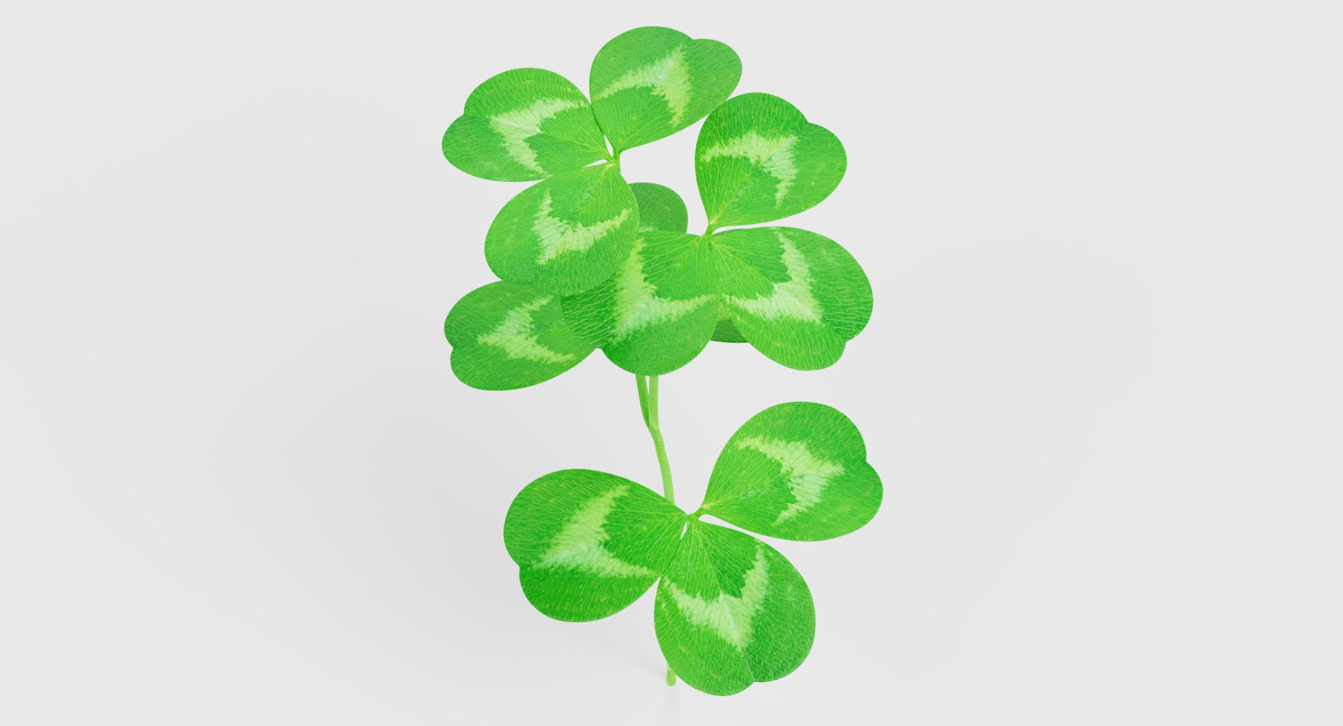 3D model clover plant pbr - TurboSquid 1300460