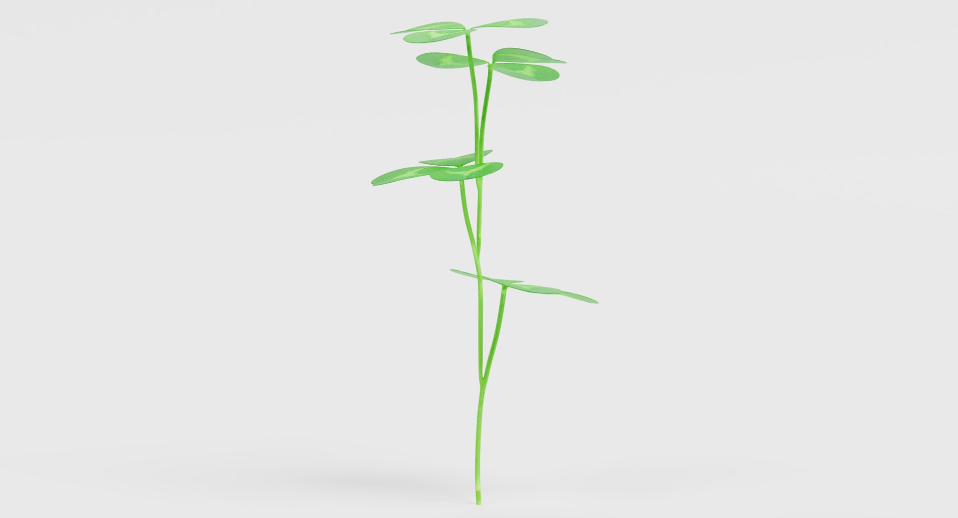3D model clover plant pbr - TurboSquid 1300460