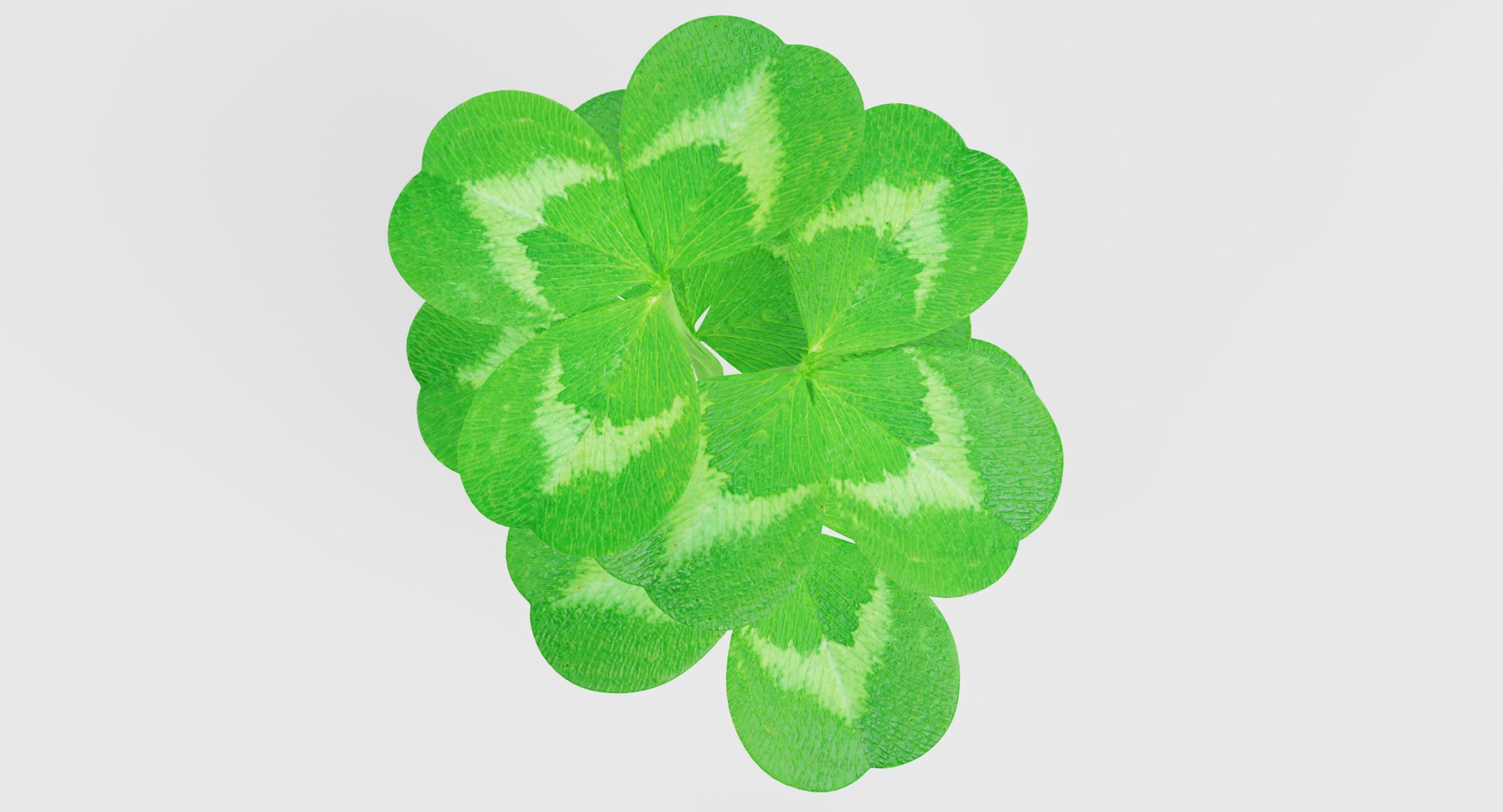 3D model clover plant pbr - TurboSquid 1300460