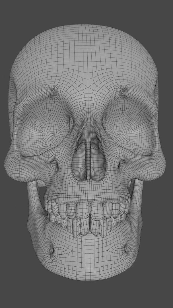 Human Skull Model - TurboSquid 1518971