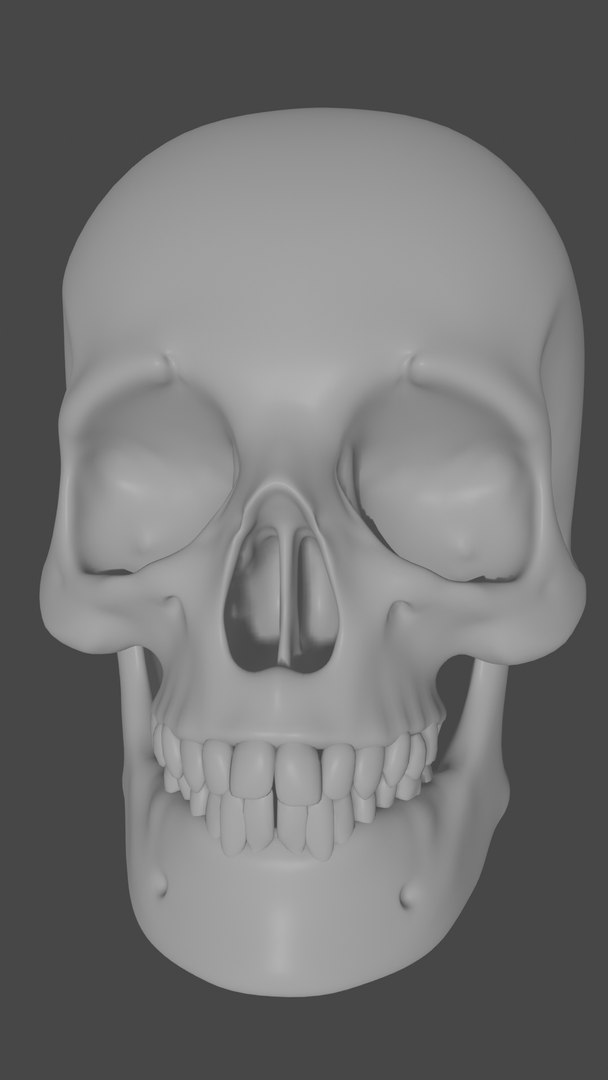 Human Skull Model - TurboSquid 1518971