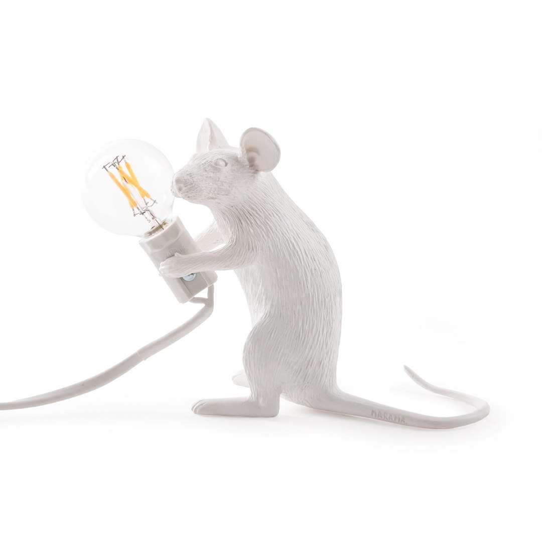 3D Design Mouse Printed - TurboSquid 1669263