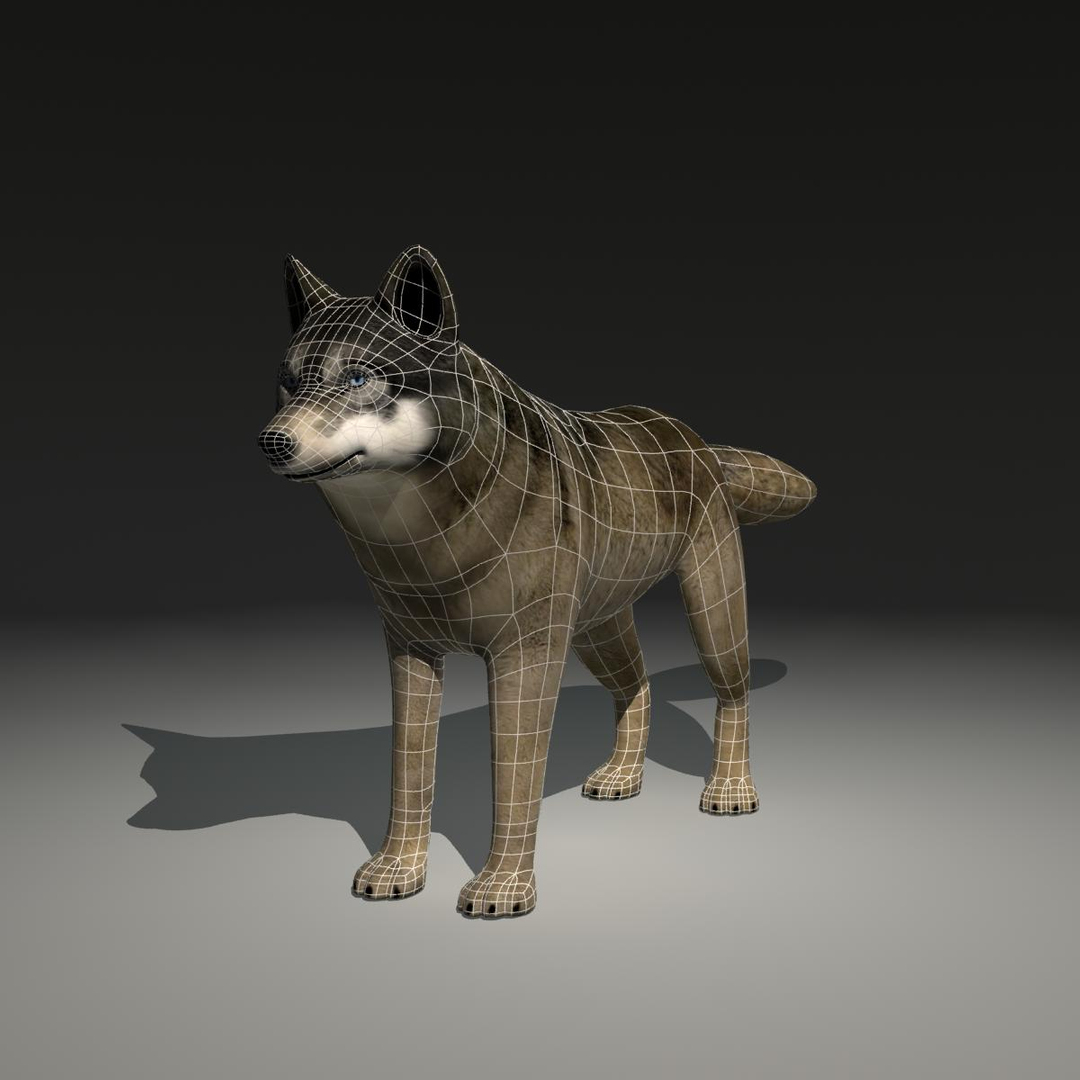 wolf dog max
