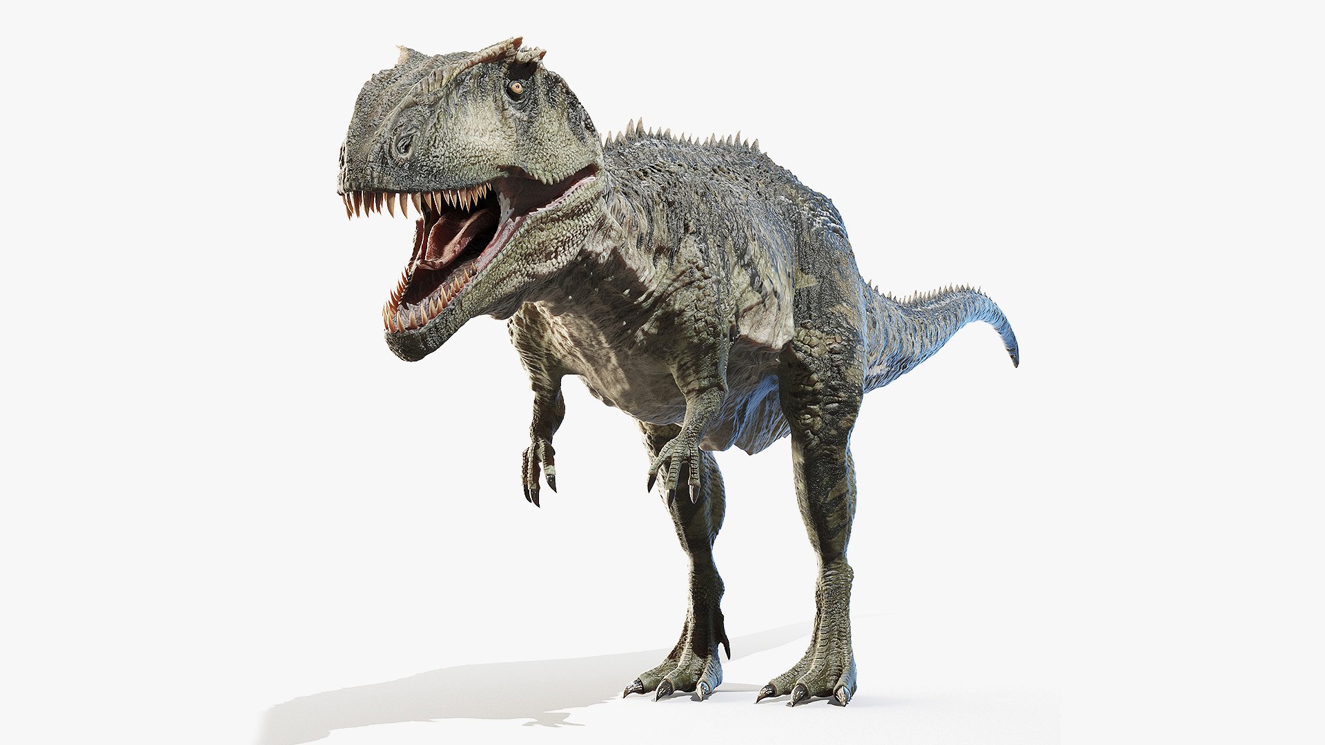 Giganotosaurus giganoto 3D model - TurboSquid 1574979