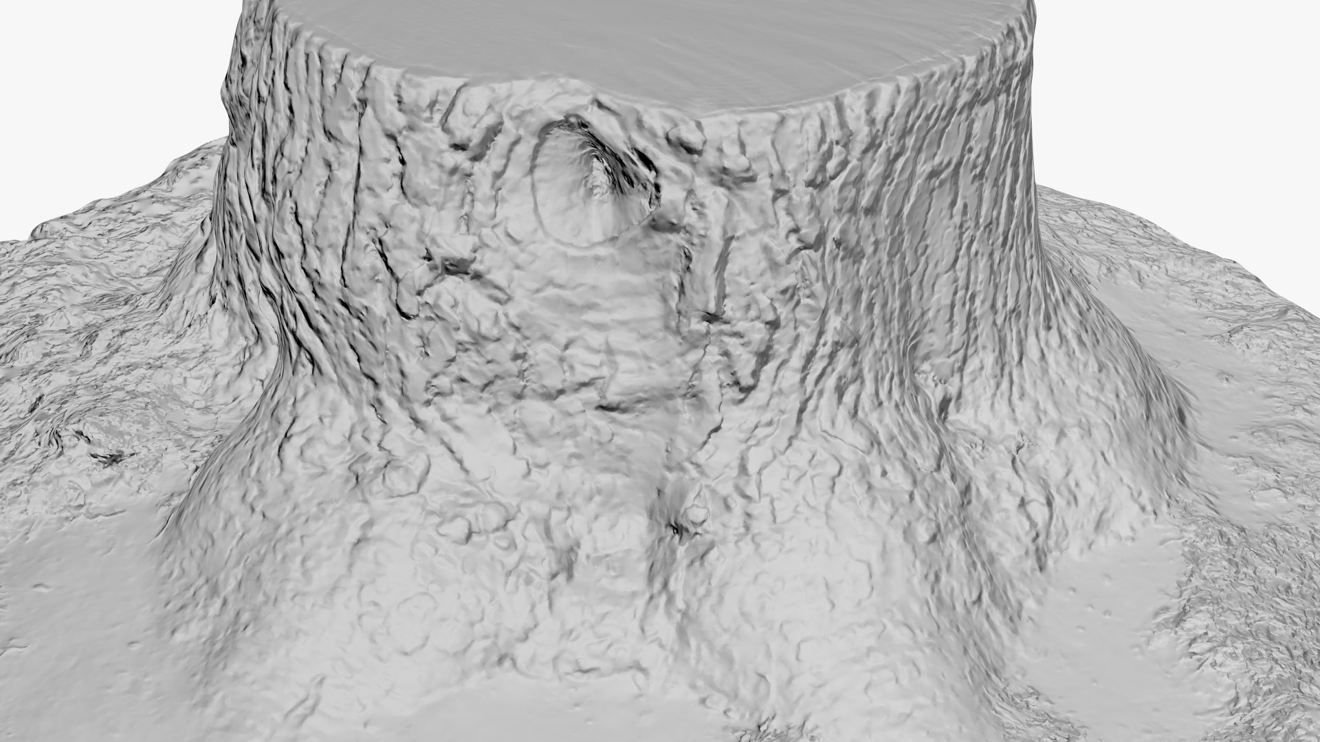 Free Tree Stump 3D Model - TurboSquid 1415451