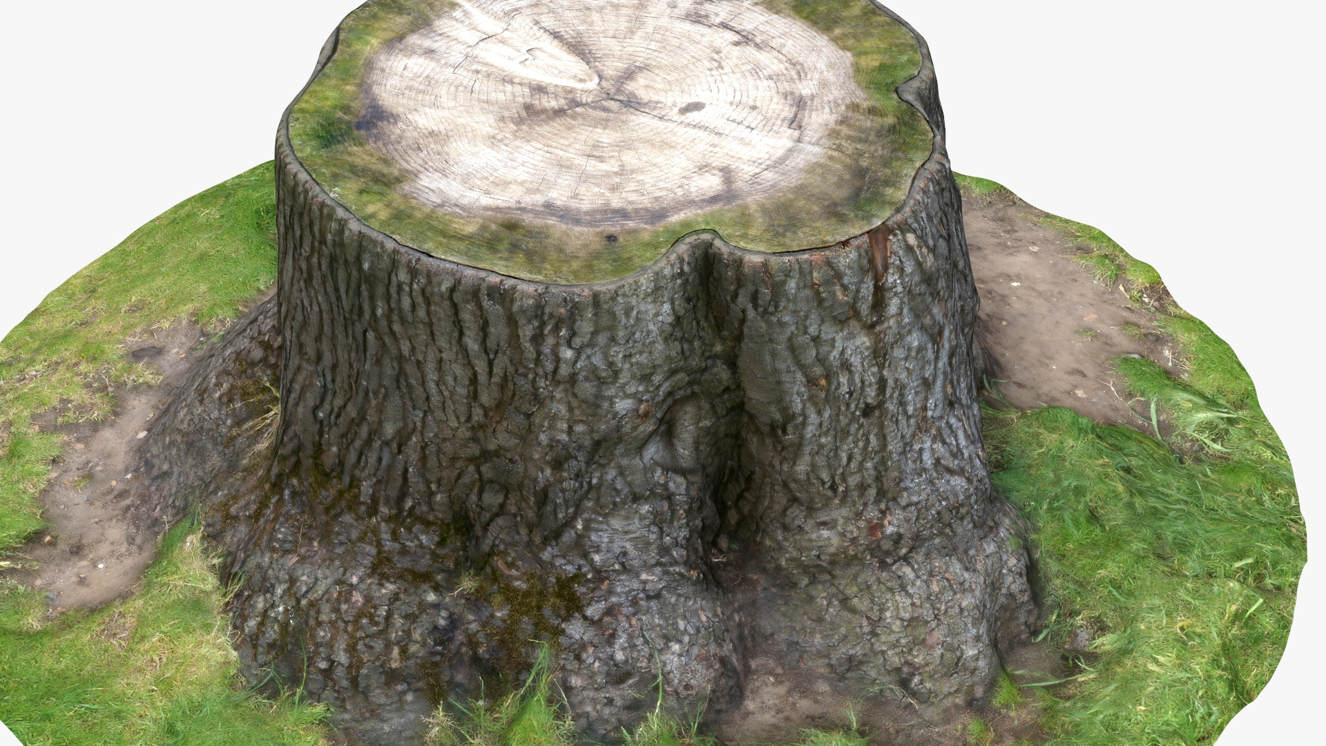 Free tree stump 3D model - TurboSquid 1415451