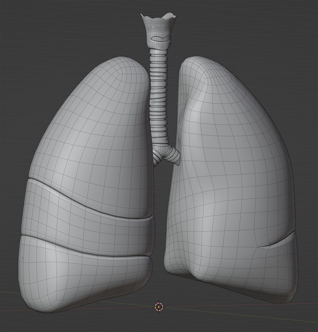 Lungs 3D Model - TurboSquid 2470382