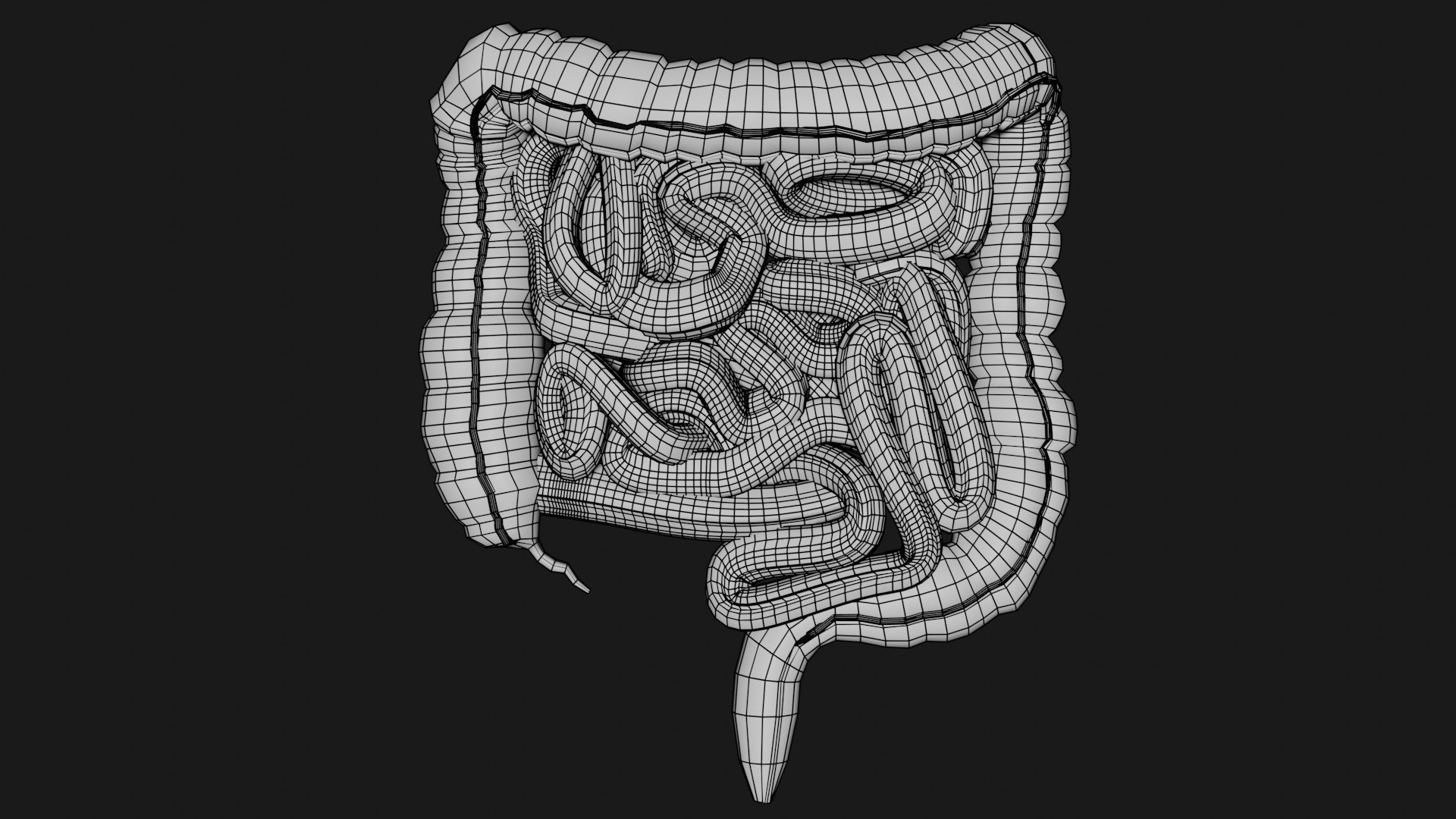 Intestine science organ 3D - TurboSquid 1674002