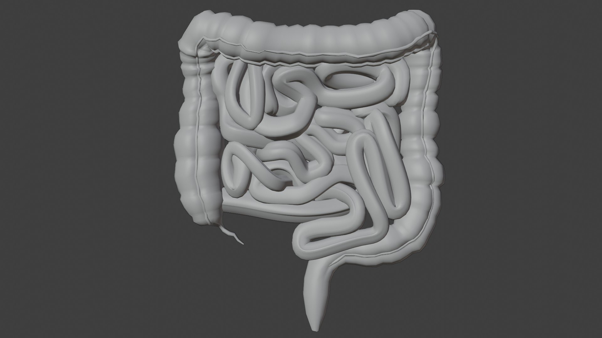 3D Model Intestine Science Organ - TurboSquid 1674006