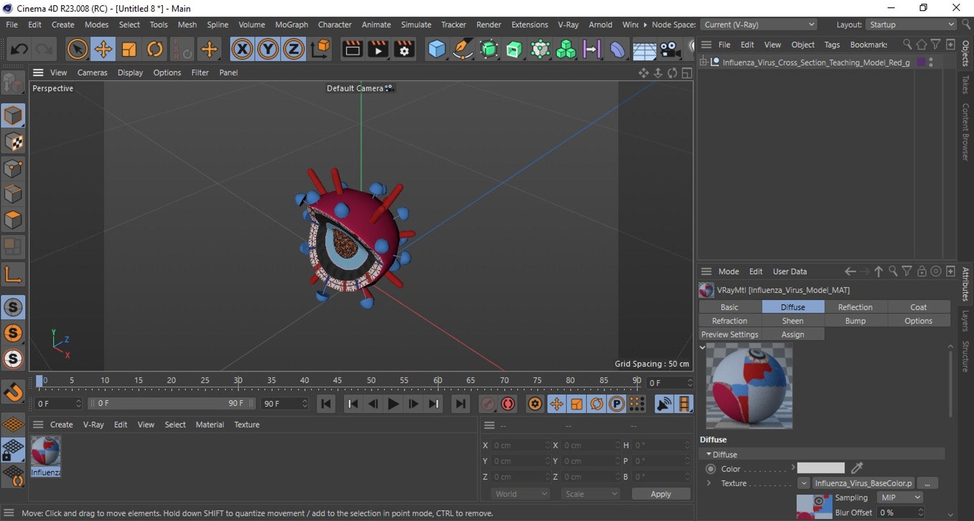 Influenza Virus Cross-Section Teaching Model Red 3D - TurboSquid 2414815