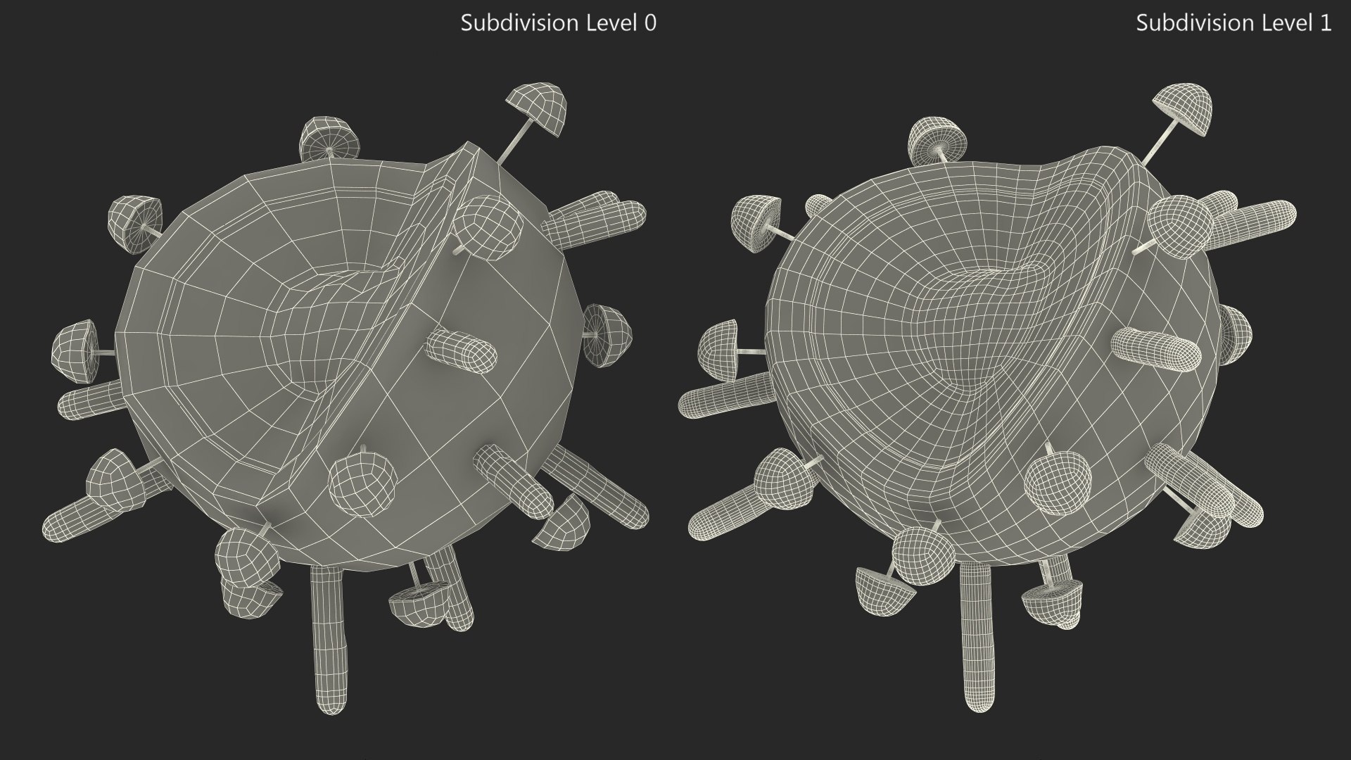 Influenza Virus Cross-Section Teaching Model Red 3D - TurboSquid 2414815