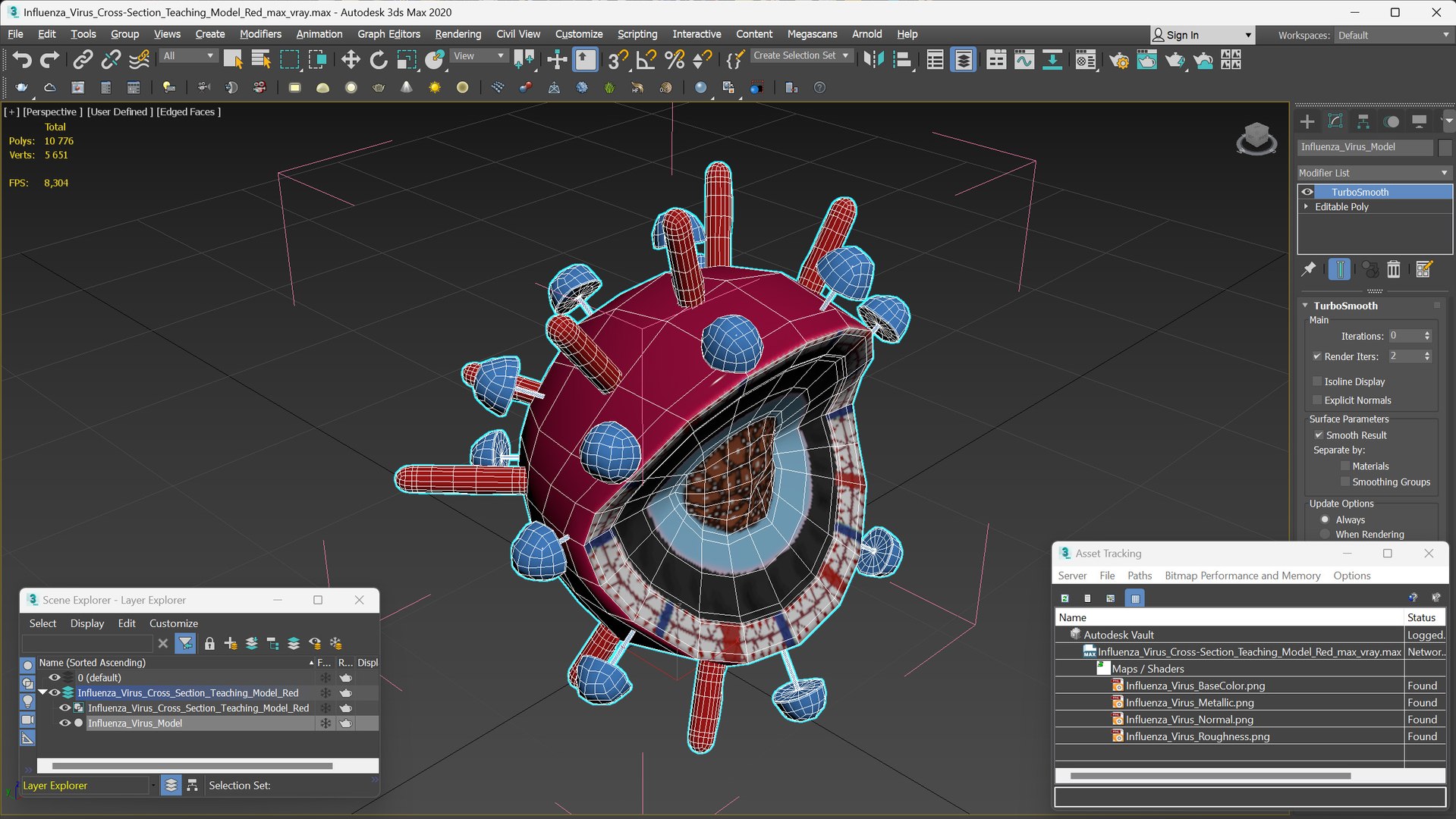 Influenza Virus Cross-Section Teaching Model Red 3D - TurboSquid 2414815