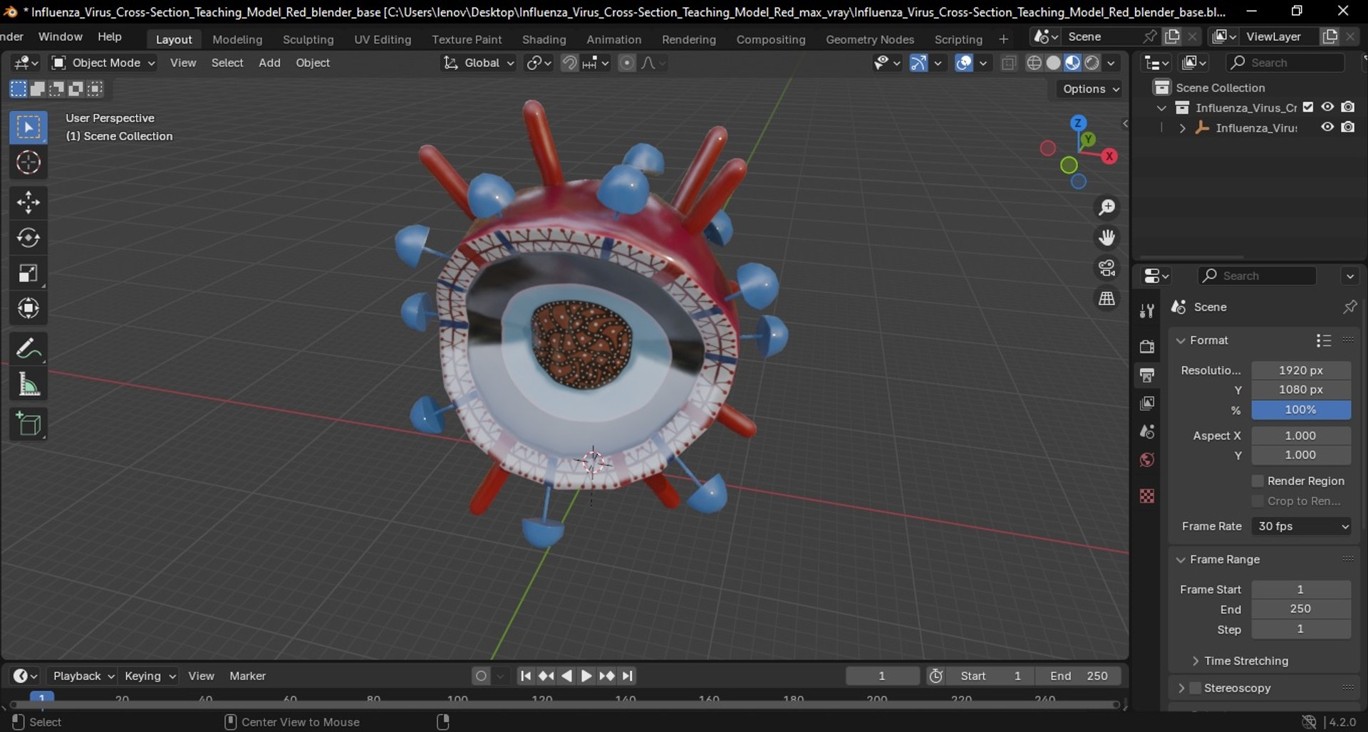 Influenza Virus Cross-Section Teaching Model Red 3D - TurboSquid 2414815