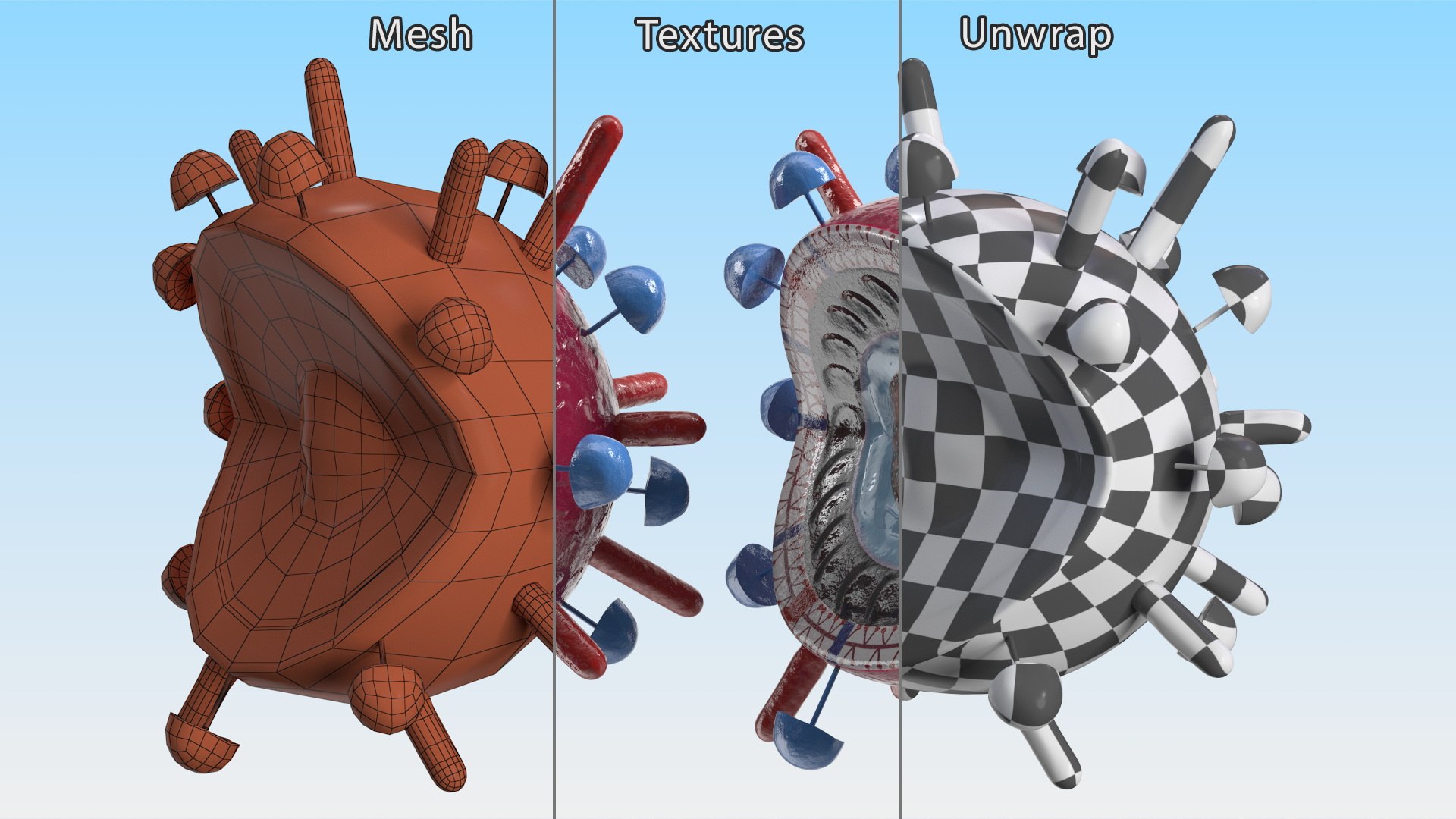 Influenza Virus Cross-Section Teaching Model Red 3D - TurboSquid 2414815