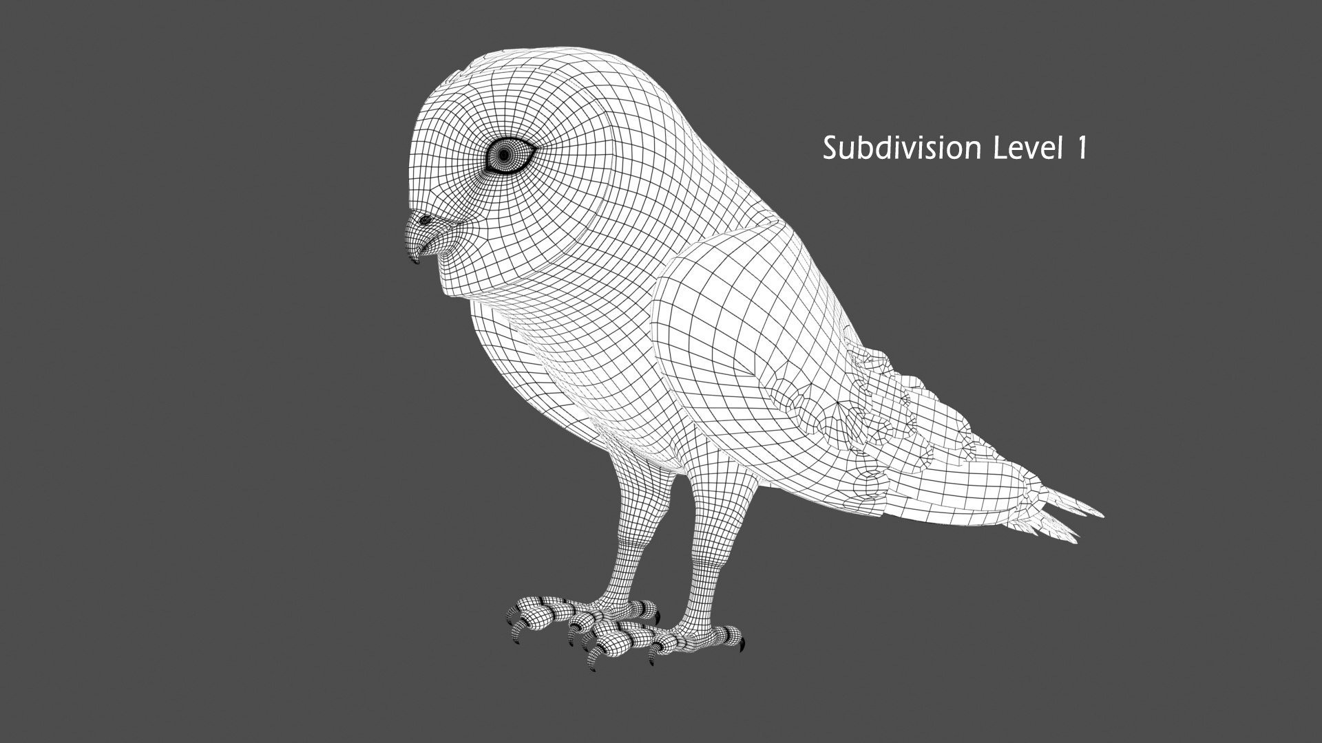 Realistic Barn Owl Folded 3d Model