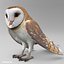 Realistic Barn Owl Folded 3d Model