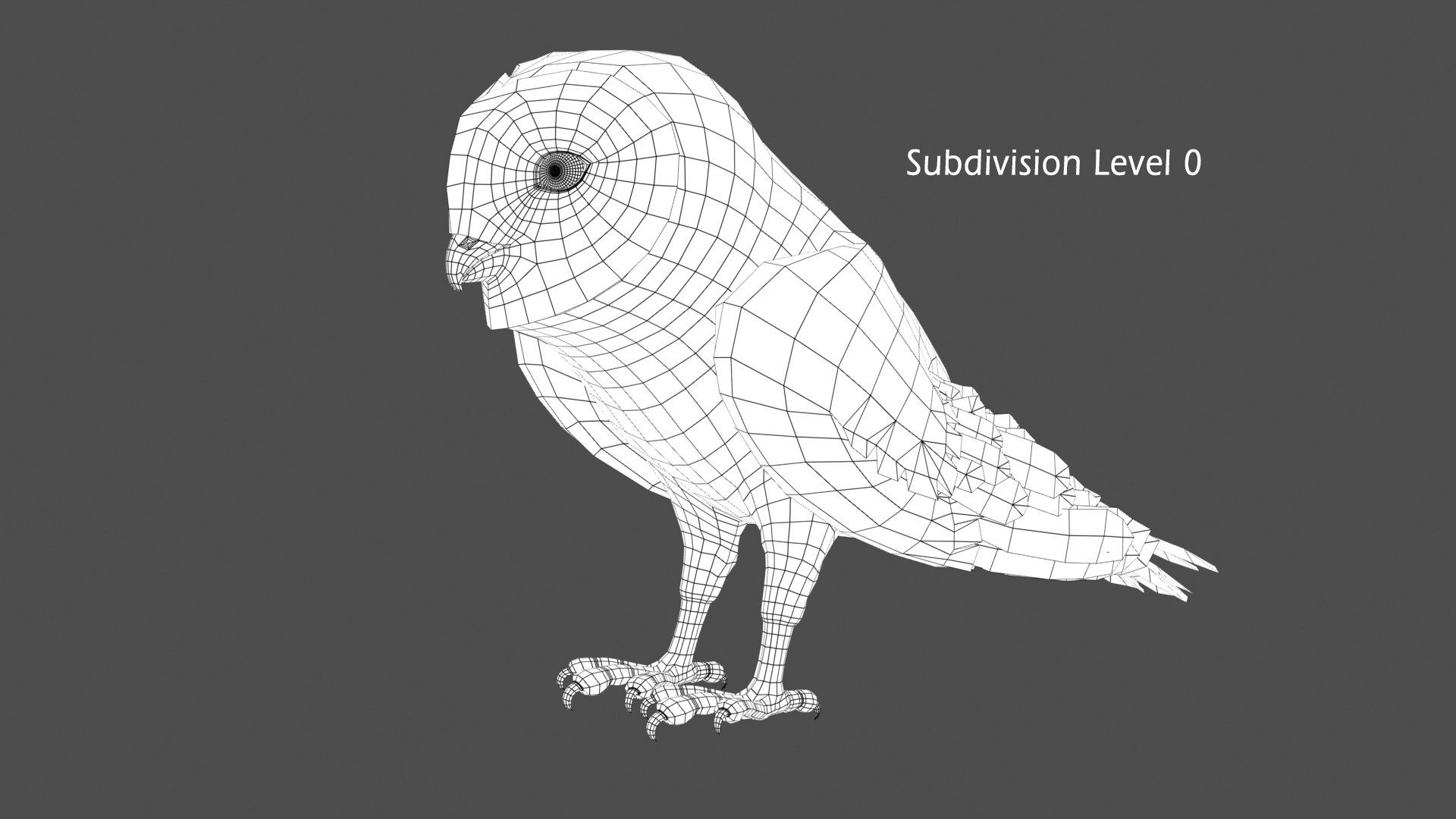 Realistic Barn Owl Folded 3d Model