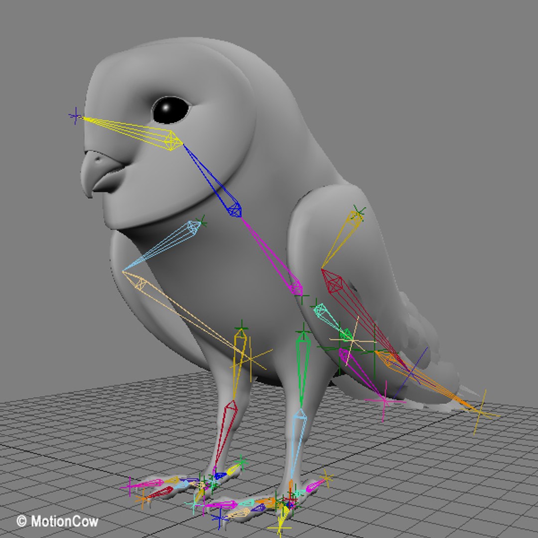 realistic barn owl folded 3d model