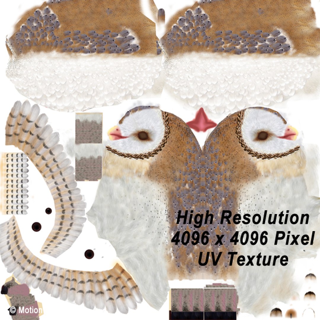 realistic barn owl folded 3d model